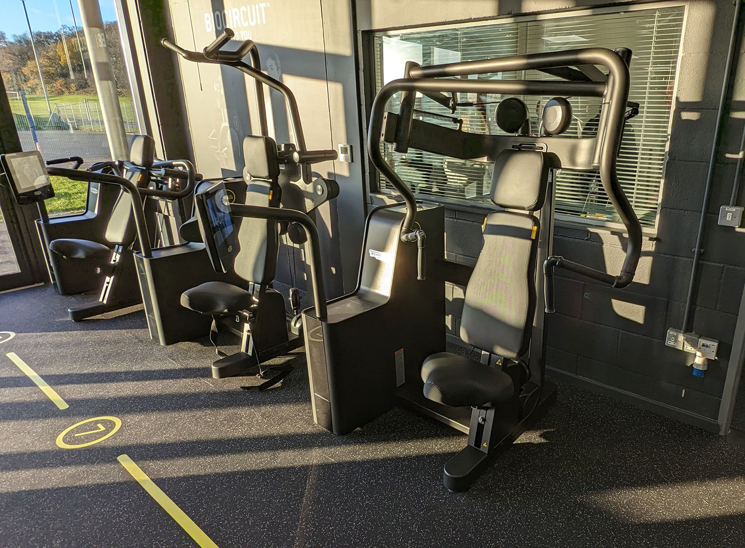 Lifestyles - Biocircuit